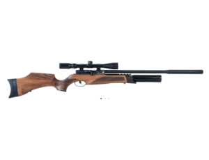 Precision and Elegance – Introducing the BSA R12 CLX Pro Air Rifle ...